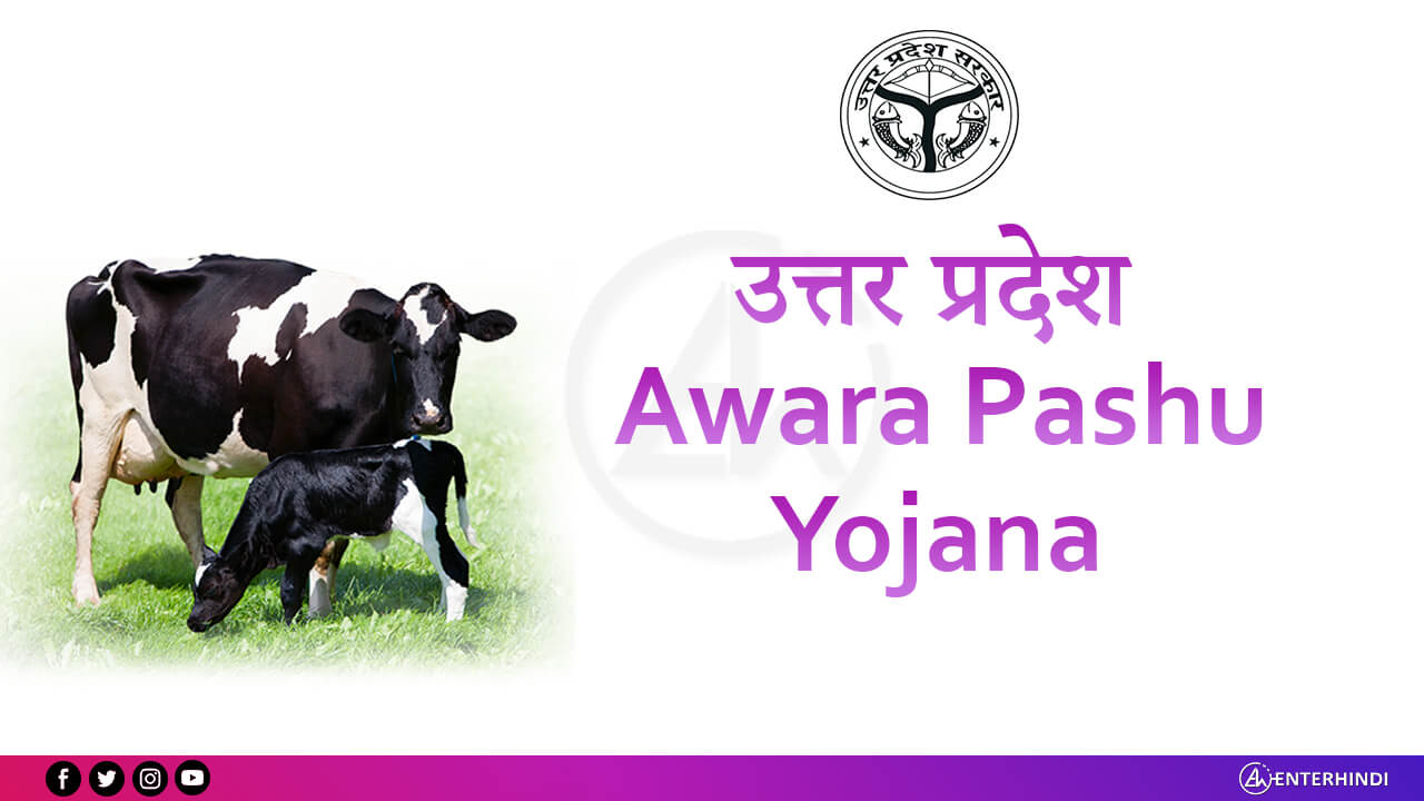 awara-pasu-yojana-5522 - EnterHindi